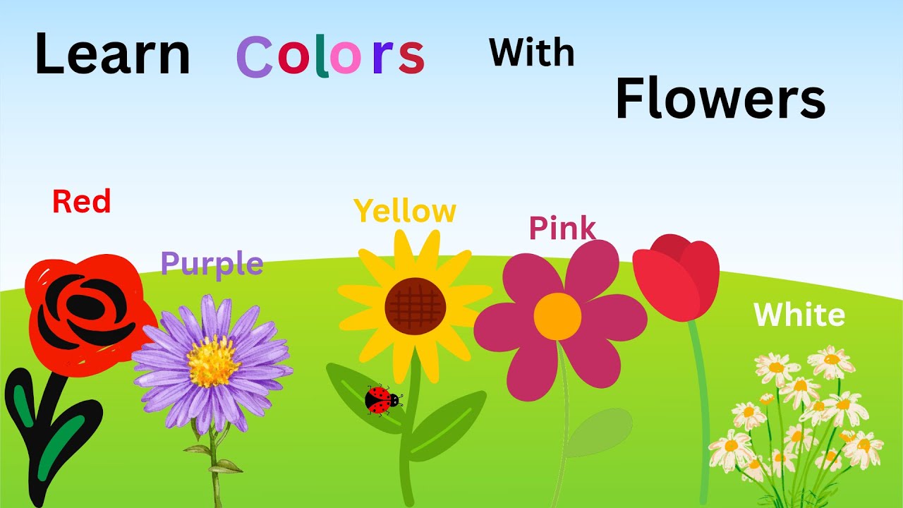 Learn Colors For Kids | What Color Is It? | Educational Video For ...