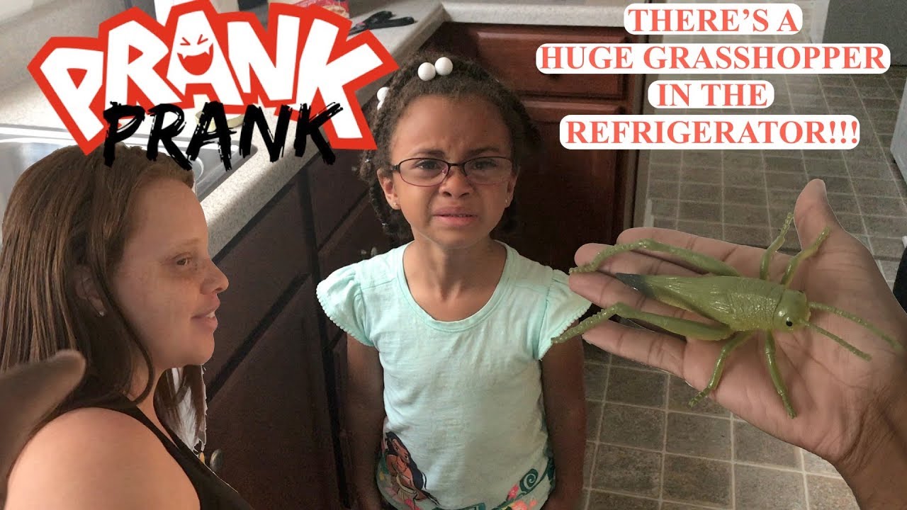 HUGE GRASSHOPPER IN THE FRIDGE PRANK | **CRY ALERT!!!** - YouTube
