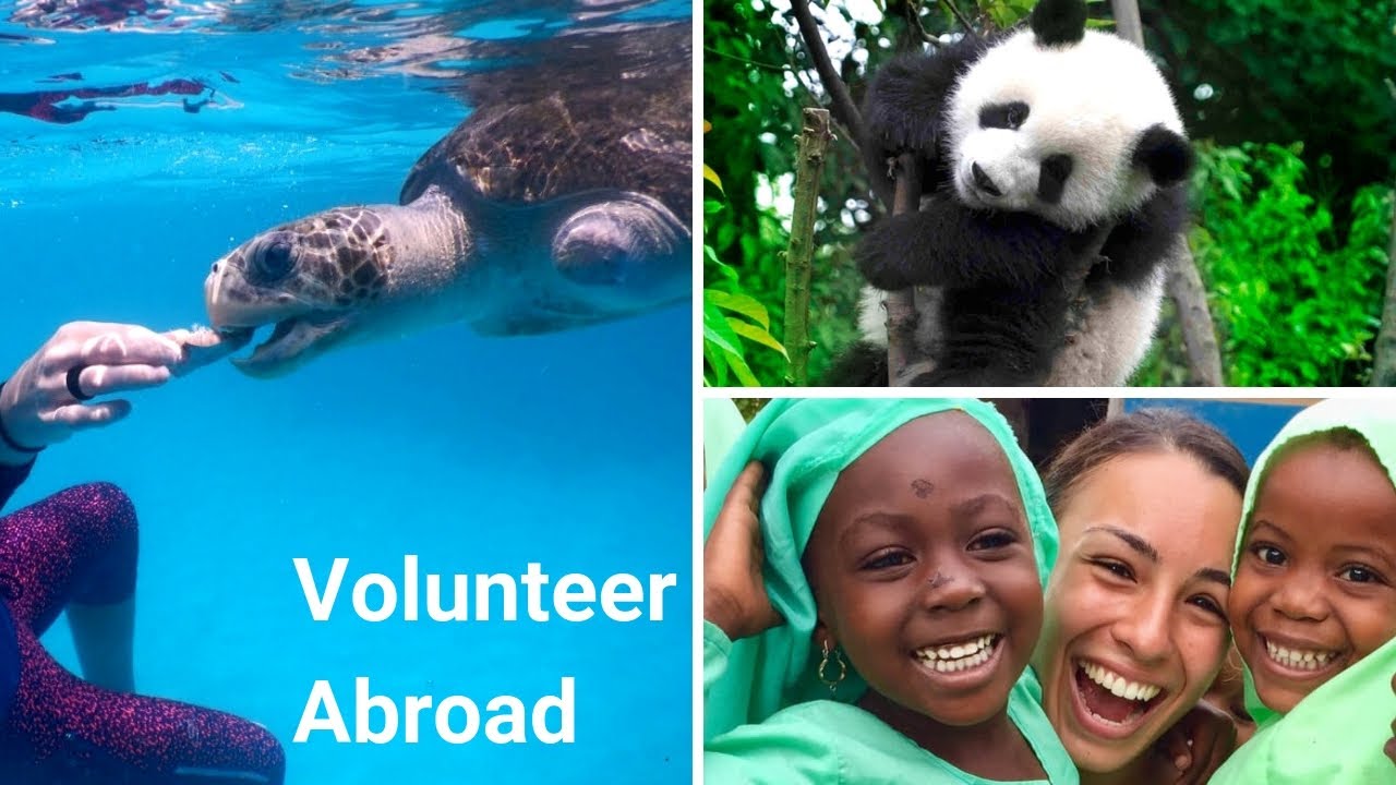 GoEco | Volunteering abroad with WILDLIFE, HUMANITARIAN & ENVIRONMENTAL ...