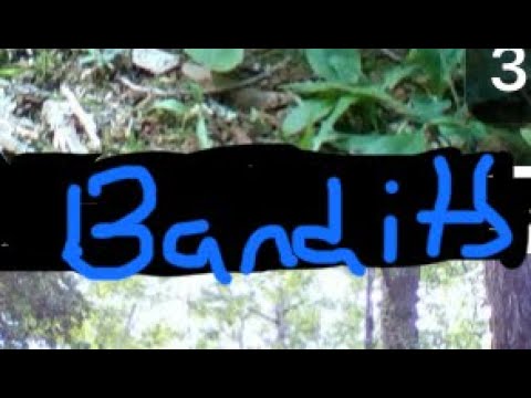 The bandits treasure and Bigfoot trailer - YouTube