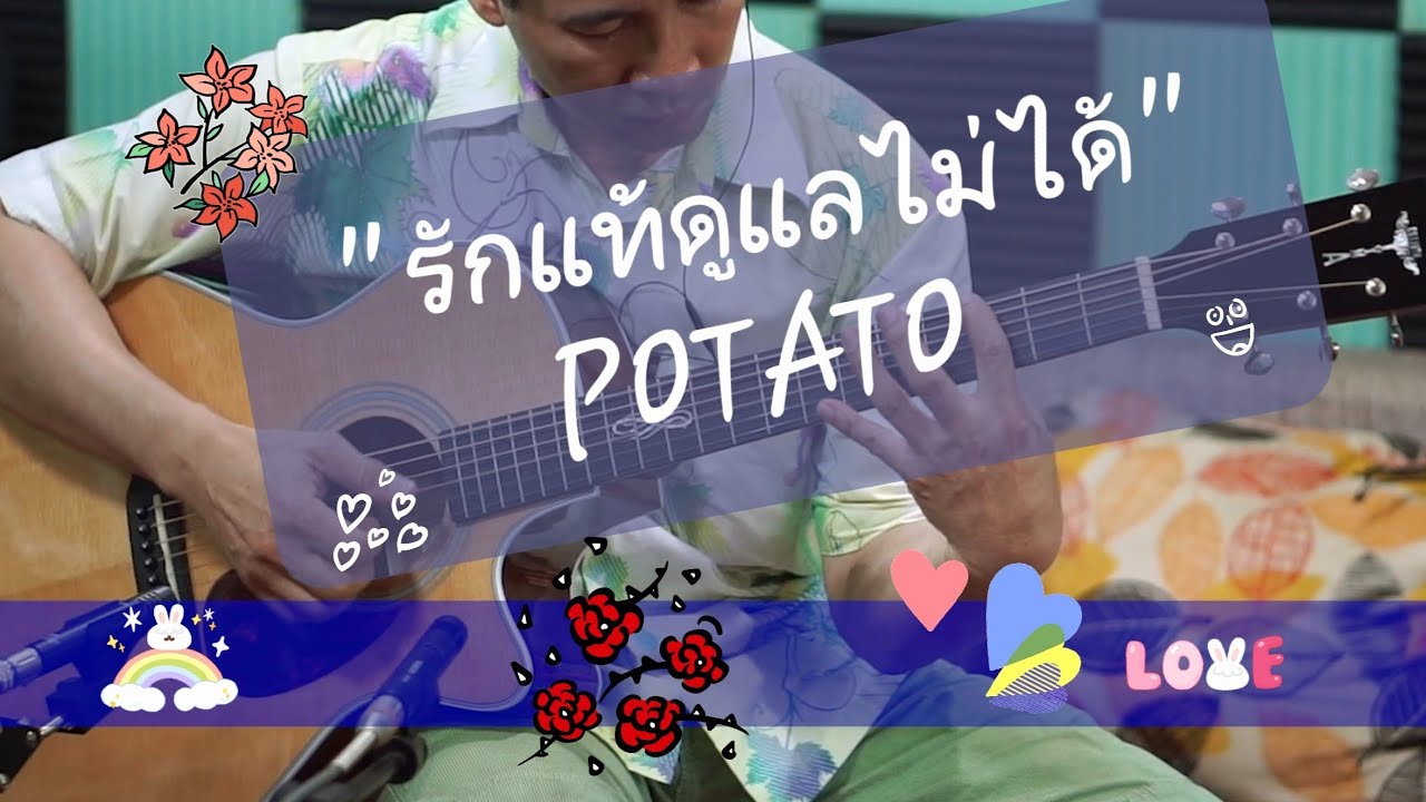 รักแท้ ดูแลไม่ได้ Potato - Fingerstyle ( Cover by Pong ) - YouTube
