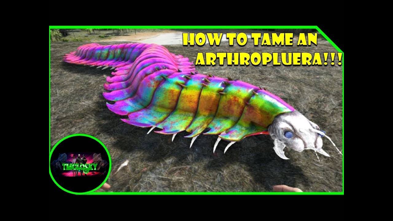 ARK: HOW TO TAME AN ARTHROPLUERA!!! - YouTube