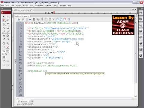 Flash PayPal Buy Now Button Tutorial and free fla AS3 - YouTube
