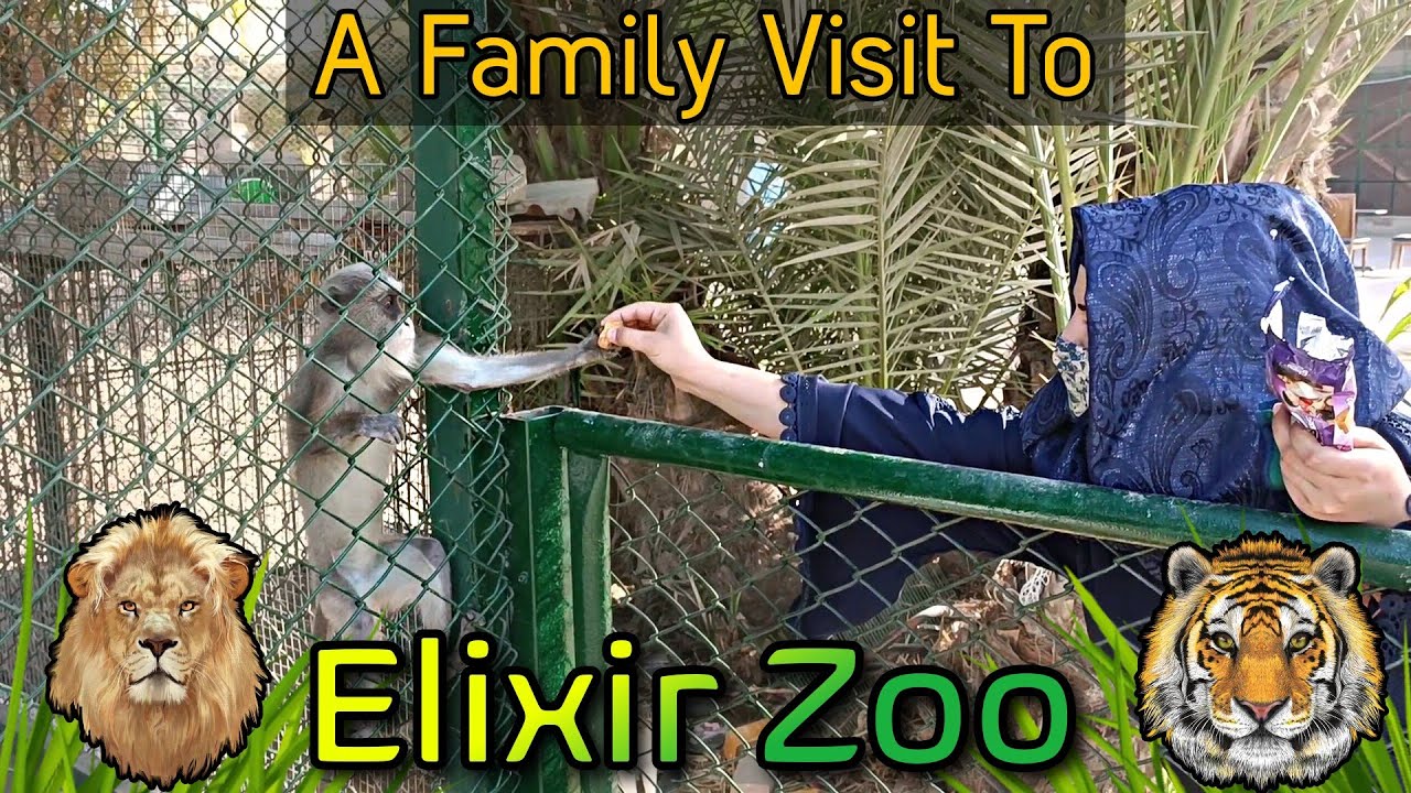 A Family Visit to Elixir Zoo Karachi | VLOG | KK VIDZ - YouTube