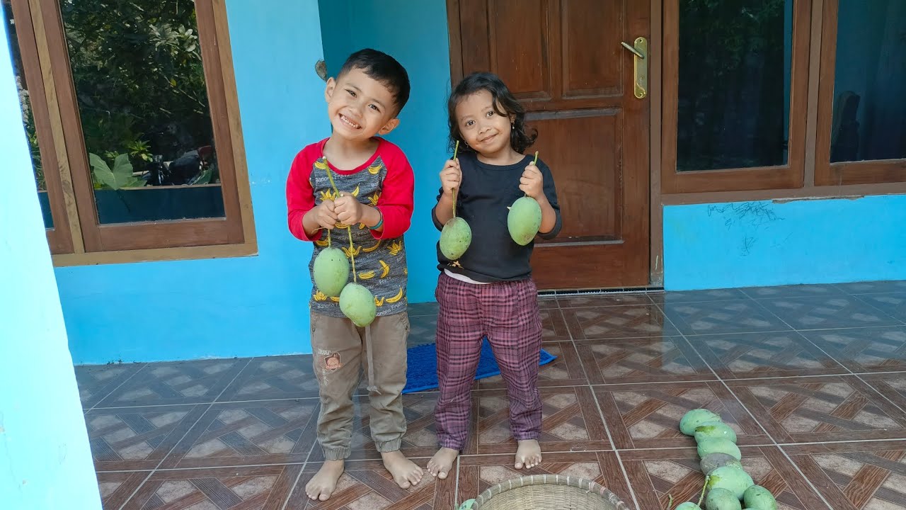 memanen buah mangga YAYA KID'Z TV - YouTube