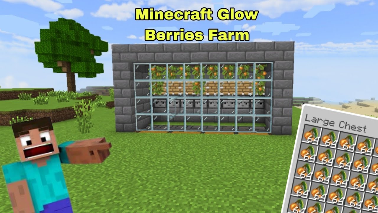 Simple 1.20 aoutomatic Minecraft Glow Berries Farm Bedrock/Java - YouTube