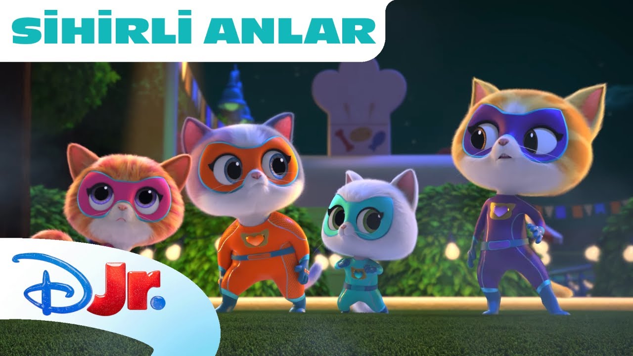 Cadılar Bayramı Kedileri 🦇 | Süper Kediler | @DisneyPlusTR - YouTube