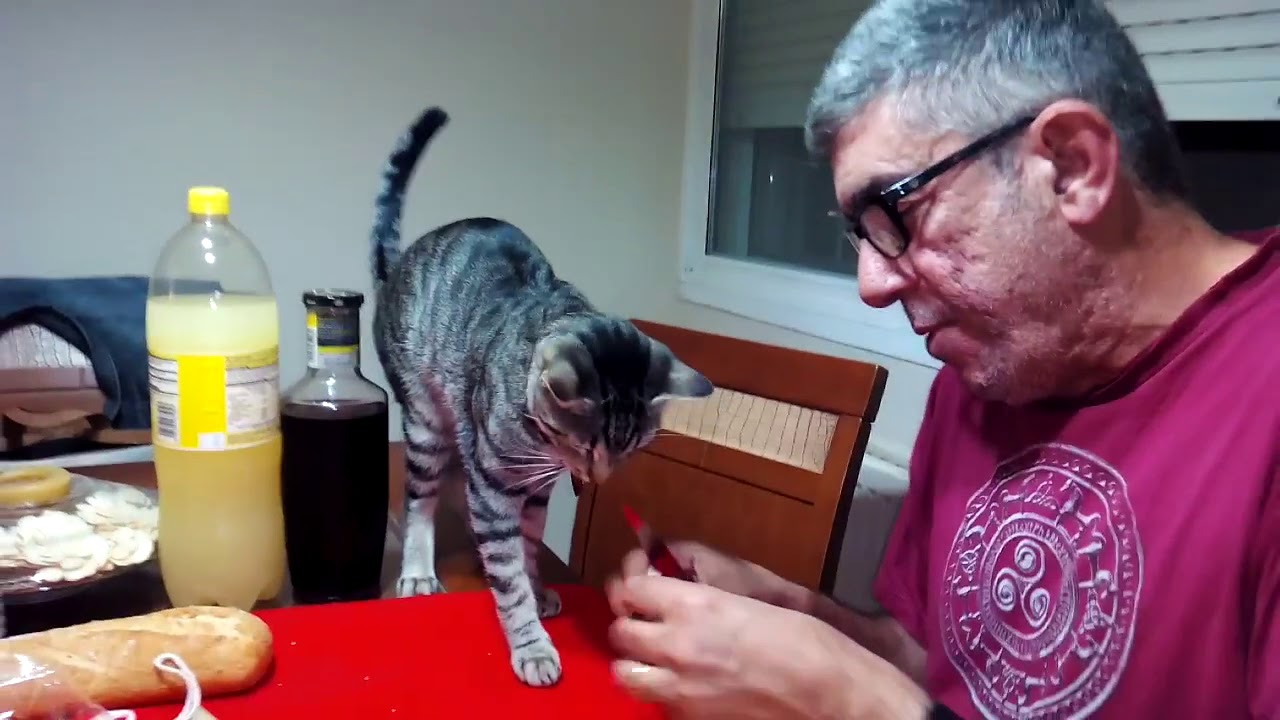 Thor comiendo melón con Amadeu - YouTube