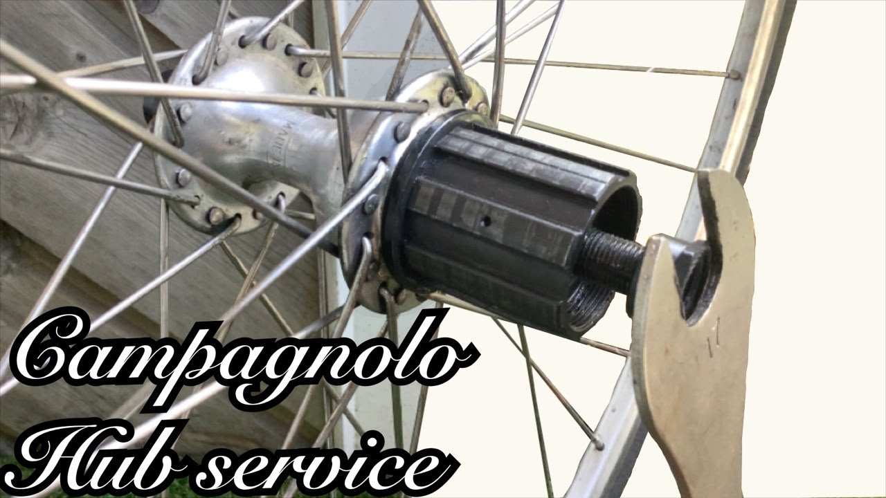 Campagnolo Rear hub service for 8 speed - YouTube