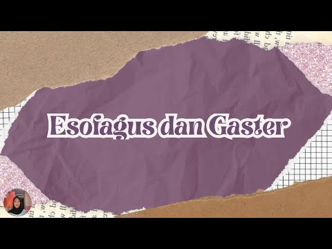 Anatomi Esophagus dan Gaster - YouTube