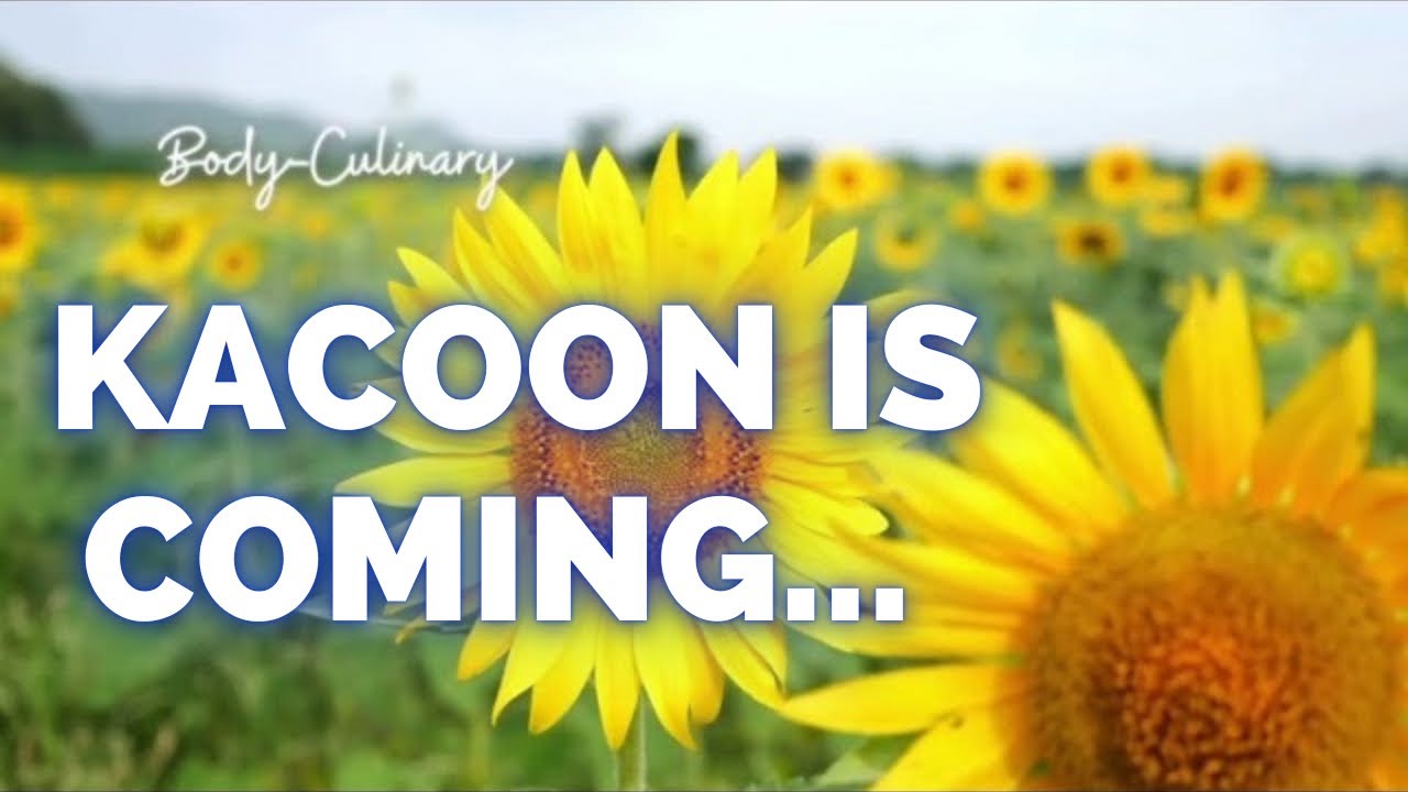 Kacoon is Coming - YouTube