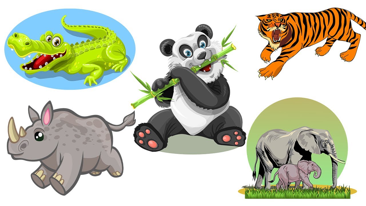 Most popular wild animals life and sounds: Sheep, Deer, Fox, Bear ...