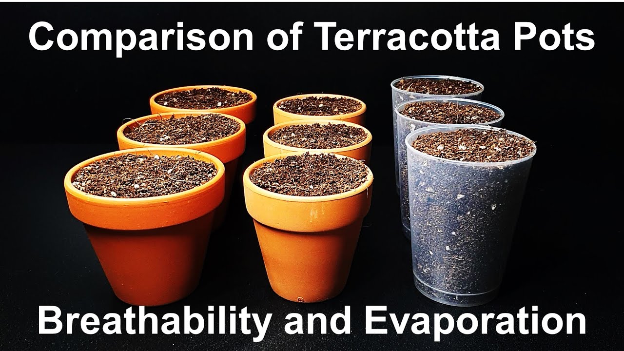 Functional comparison of terracotta pots｜Simple experiment #8 ...