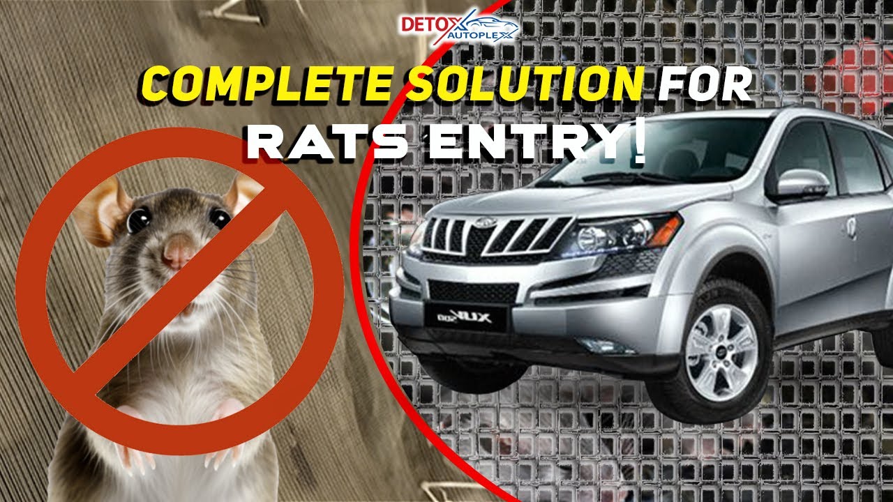 Protect Your Car from Rats!🐀 | Rat Mesh Installation to Stop Rats Bites ...