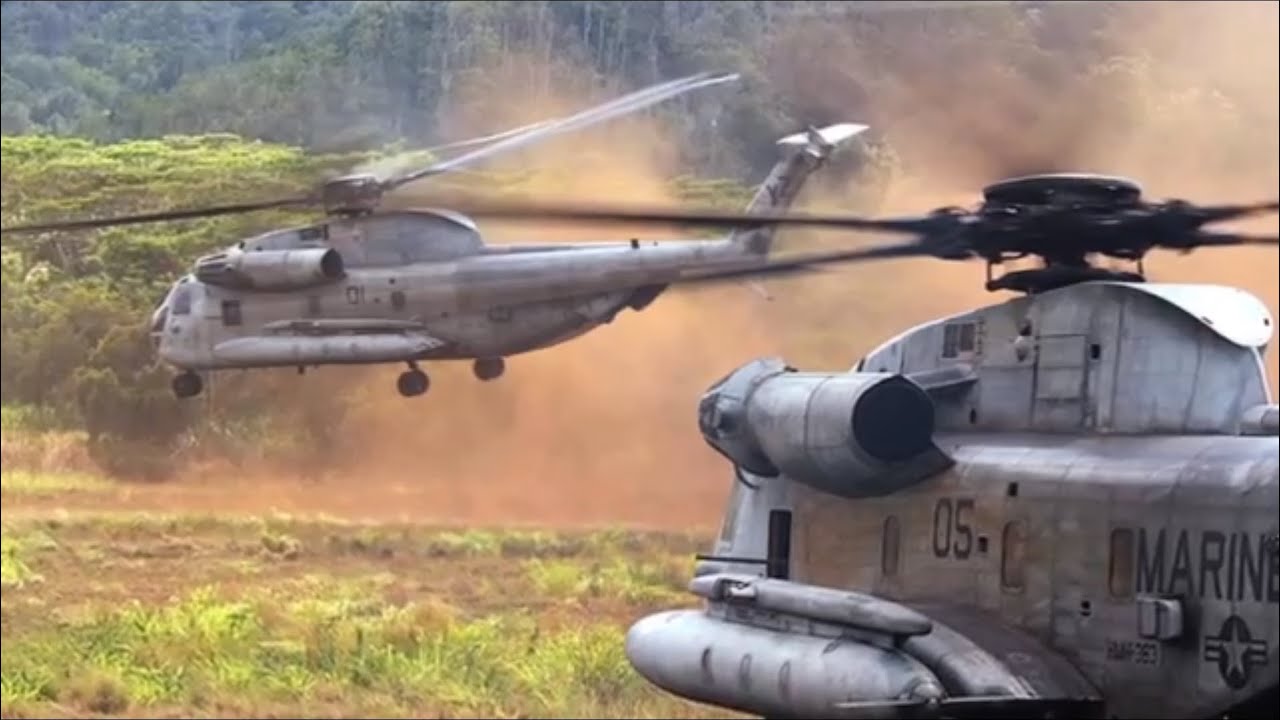 Red Lions Grow Wings for First Flight - YouTube