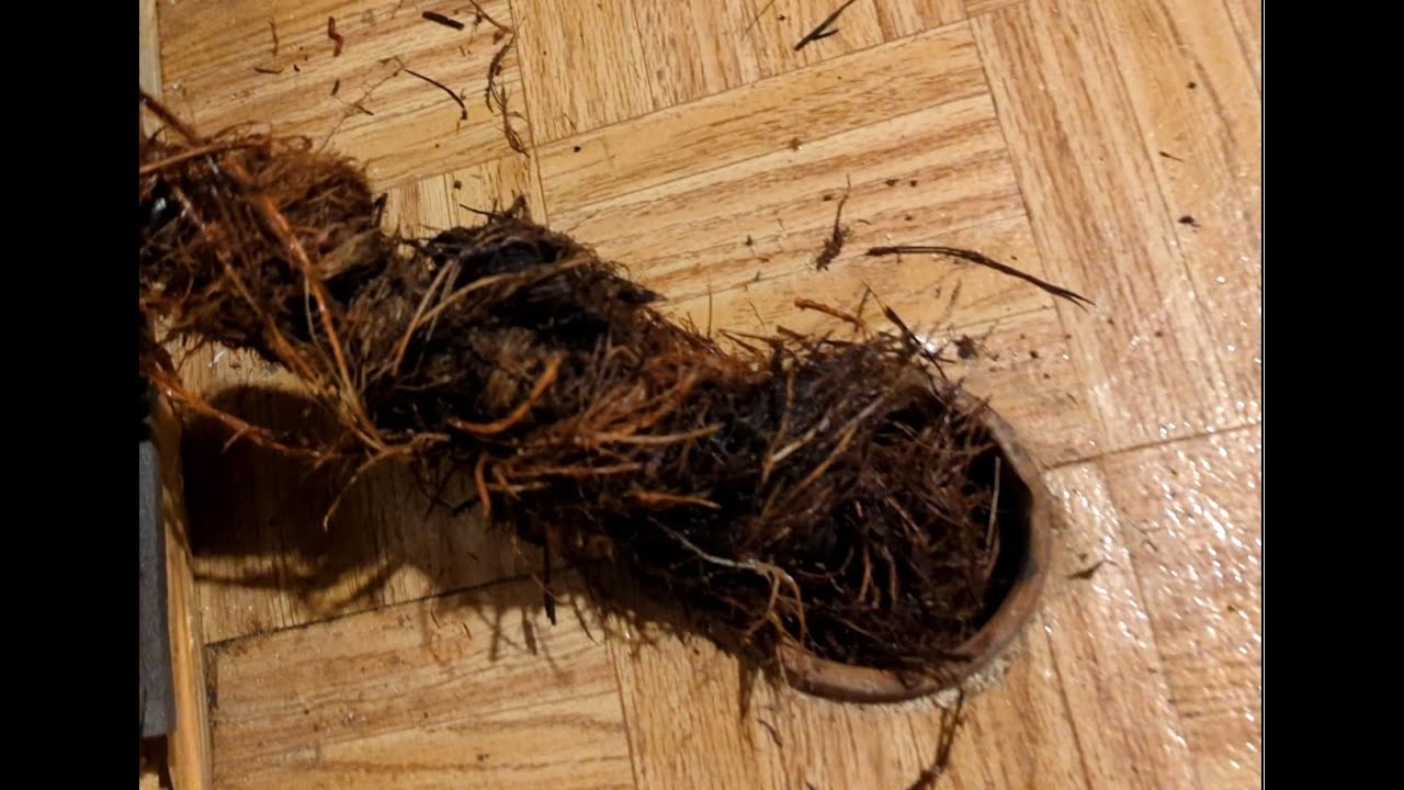 DIY Roto Rooter Drain Cleaning - YouTube