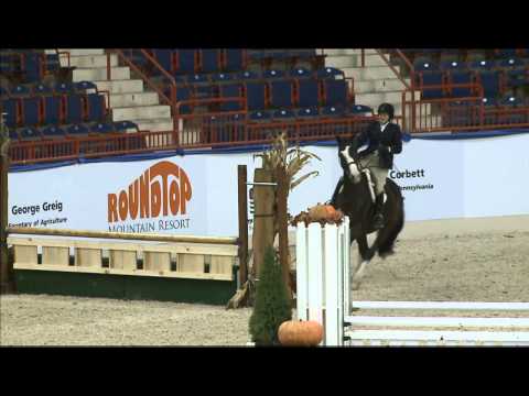 120 ORLEON   Beth Delin   Adult Amateur Hunter 50 & Over