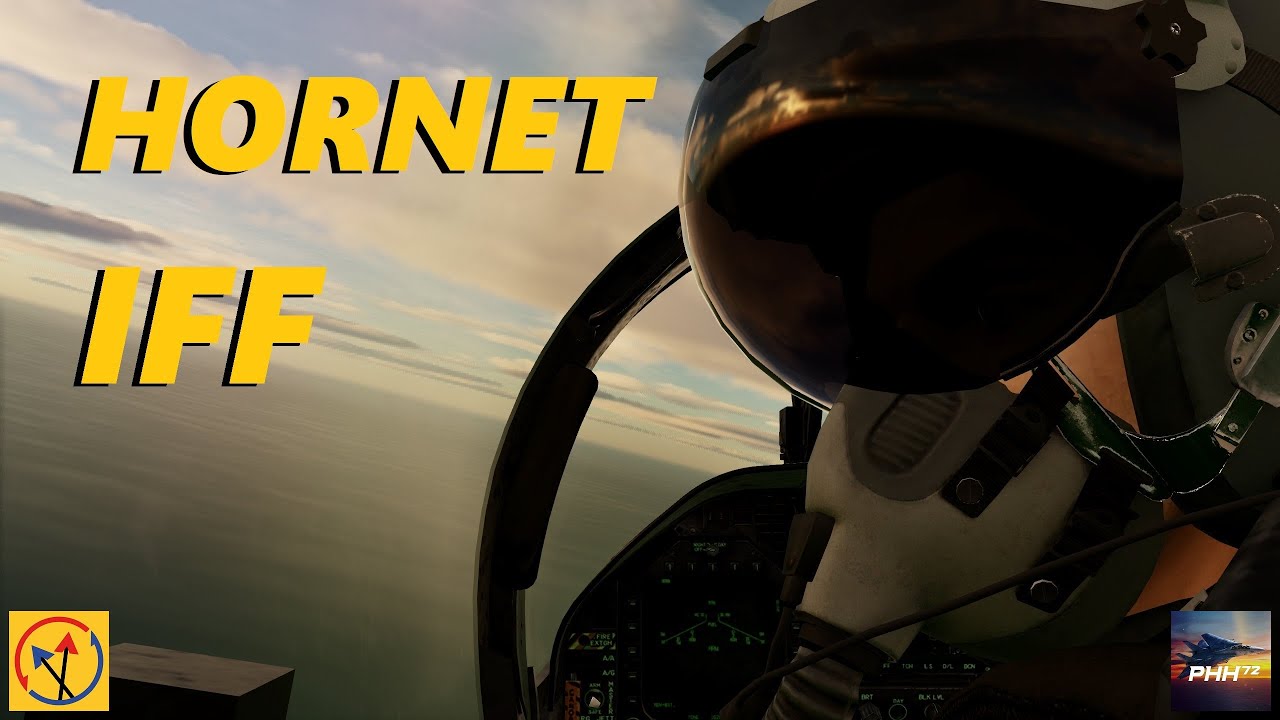 DCS World - F/A-18C IFF SETUP with AWG's IPs, Video by AWG Prickly of ...