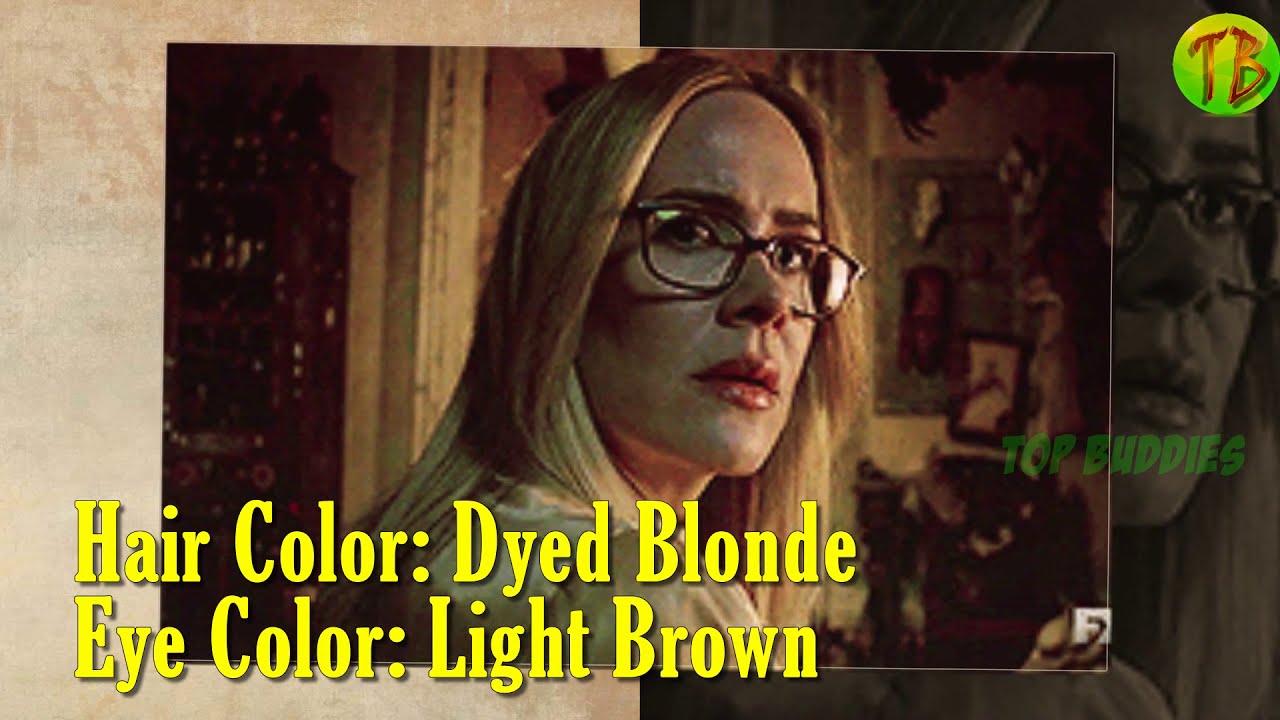 Sarah Paulson Lifestyle (Wilhemina Venable in American Horror Story ...