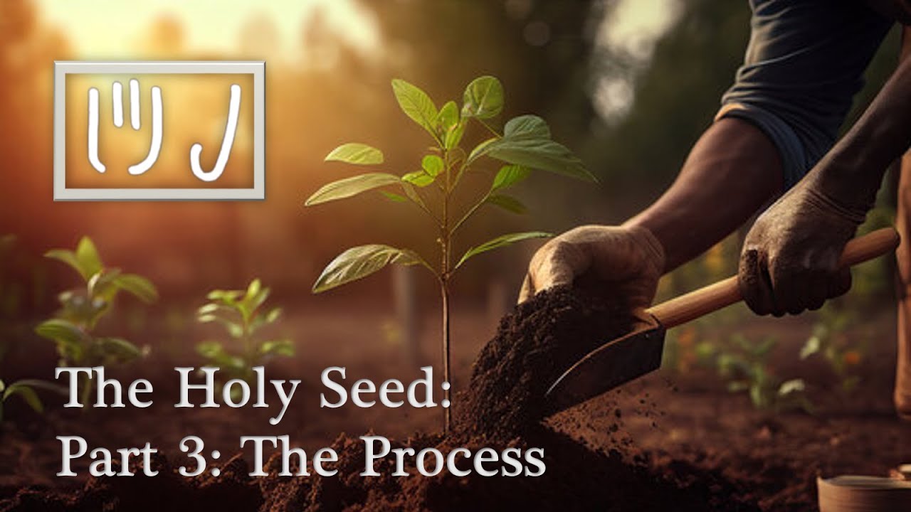 The Holy Seed Part 3 | The Process - YouTube