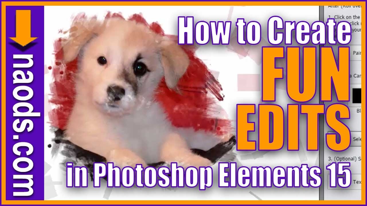 You will LOVE the new FUN EDITS features in Photoshop Elements 15 - YouTube