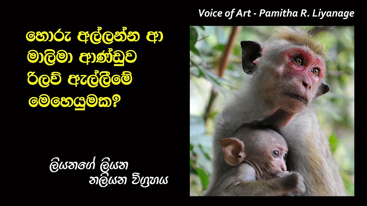 The Malima government which came to catch thieves, is in an operation ...