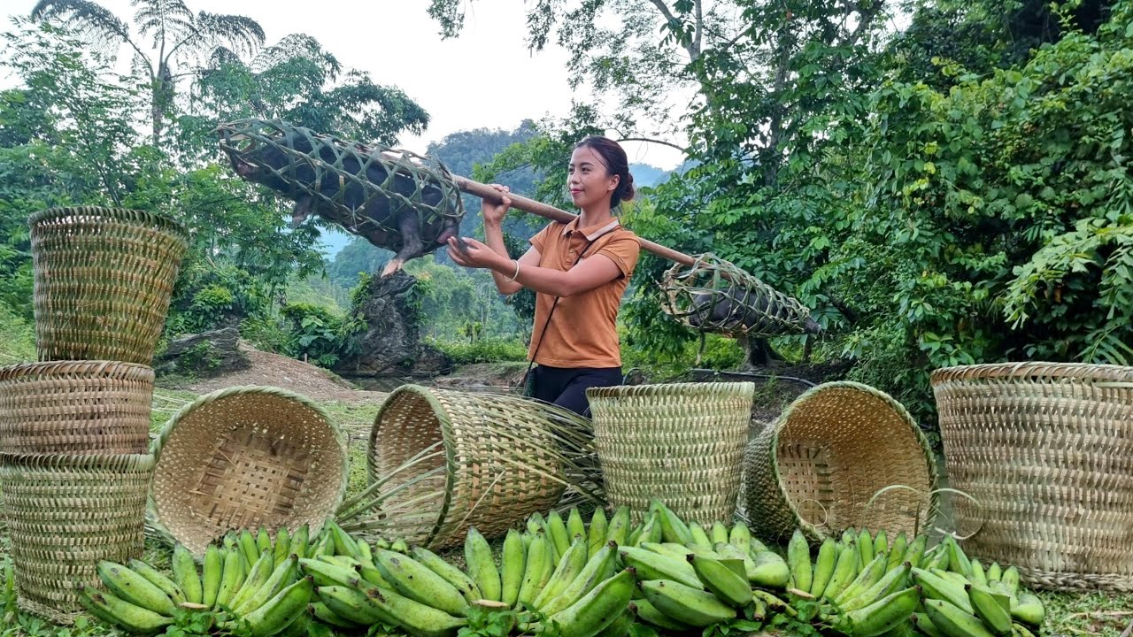 Bamboo basket weaving process, Harvesting Banana Fruit Garden goes to ...