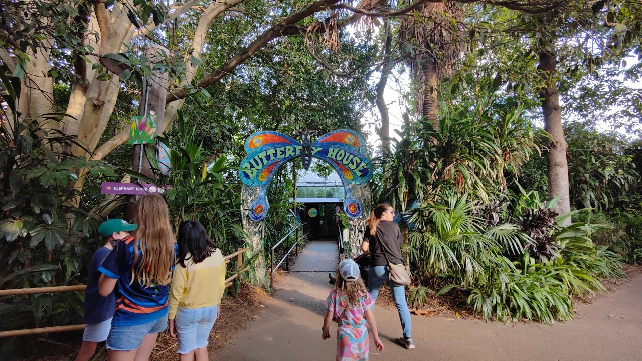 Butterfly House 🏠 | Melbourne Zoo | Australia 🌏🦘 - YouTube