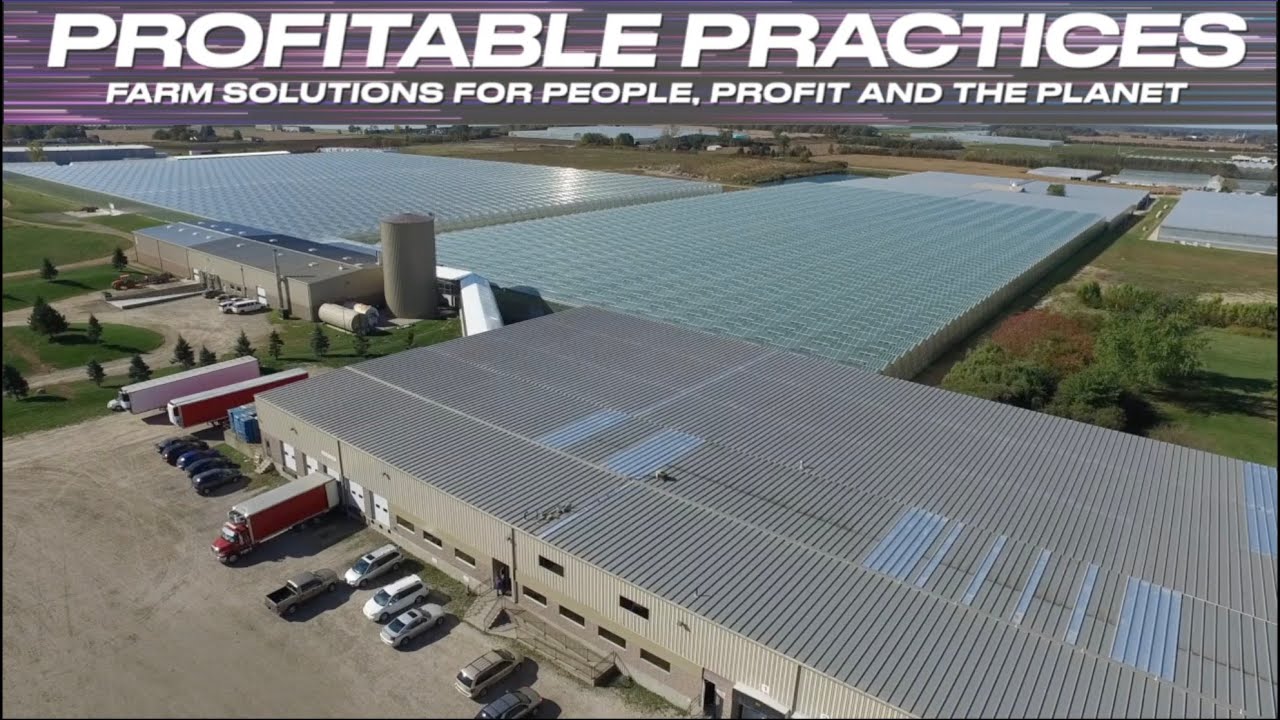 Profitable Practices: Greenhouse innovation with Red Sun Farms - YouTube