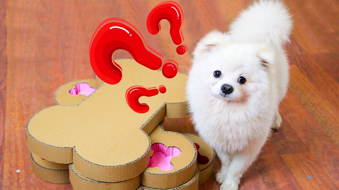 How To Make Bone Toys For Cute Dog - YouTube