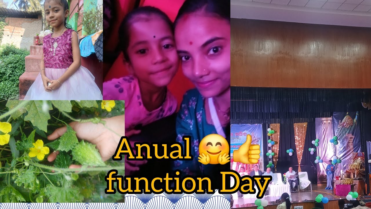 Anual function day 🤗🤗Daly life style vlog ️ ️#viralvideo #lifestyle - YouTube