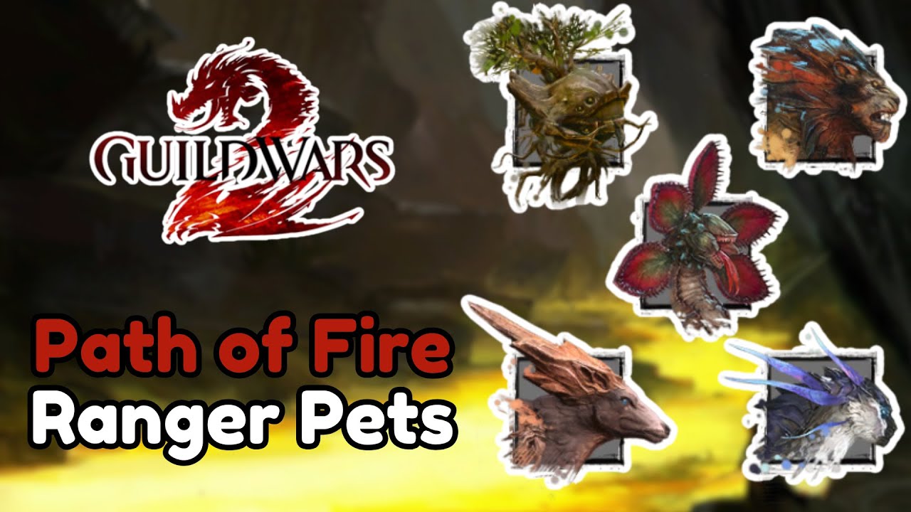 Guild Wars 2 - How To Charm Path Of Fire Ranger Pets - YouTube