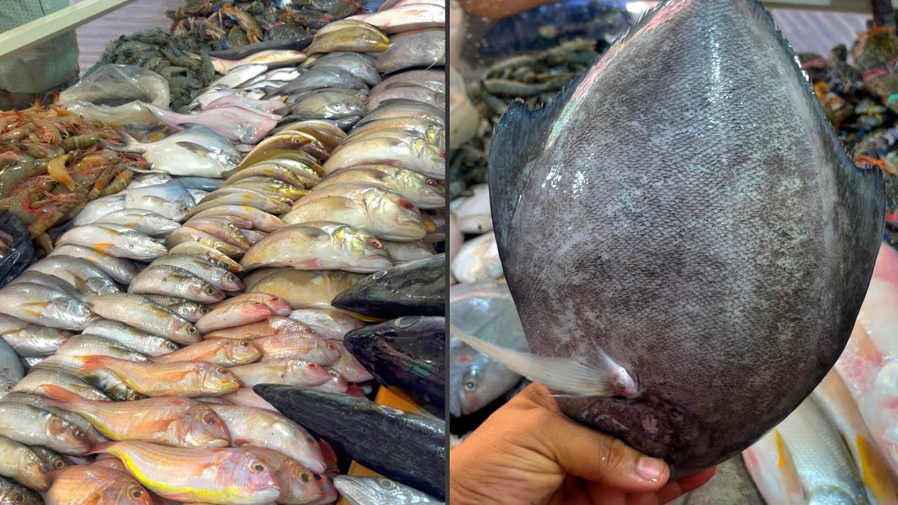 150 types verity fish available!! sagar fish world hoodi Bangalore ...