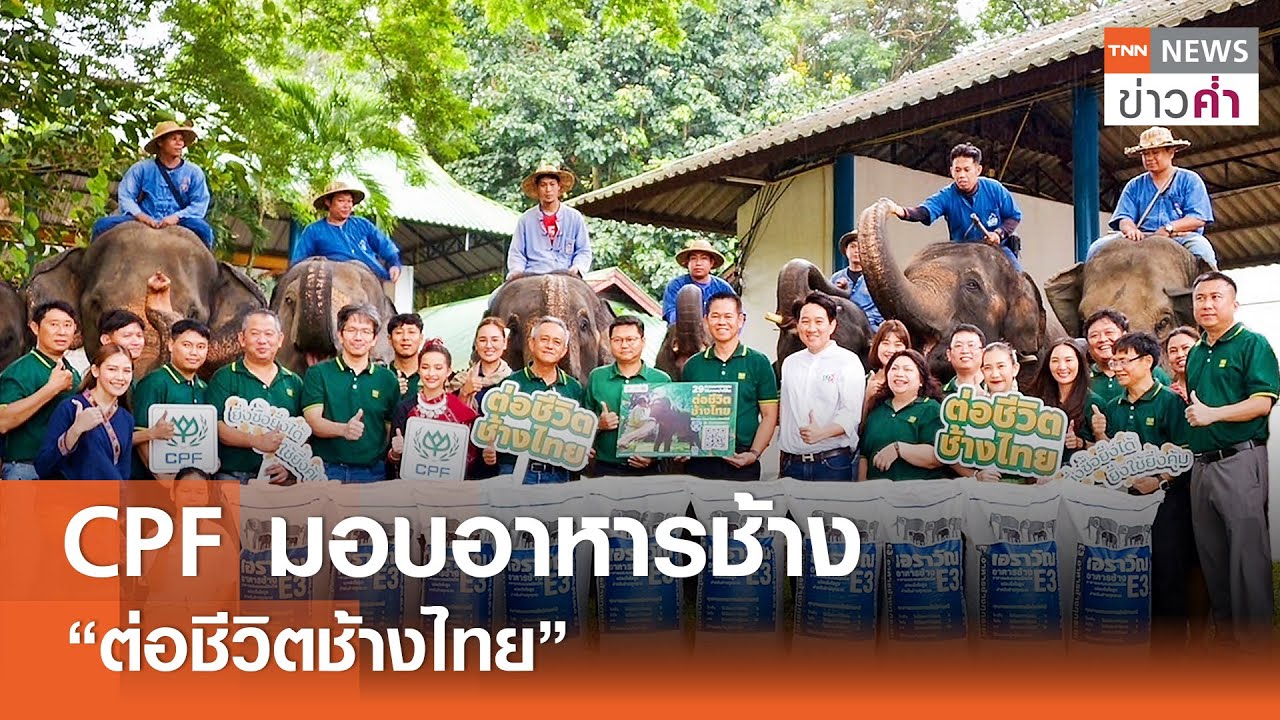 CPF มอบอาหารช้าง “ต่อชีวิตช้างไทย” | TNN ข่าวค่ำ | 18 ต.ค. 67 - YouTube
