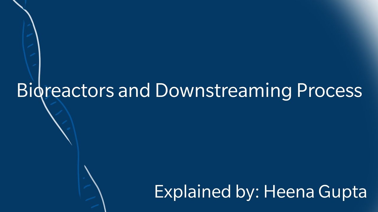 Class 12 Biology NCERT CBSE: Bioreactors and Downstreaming process ...