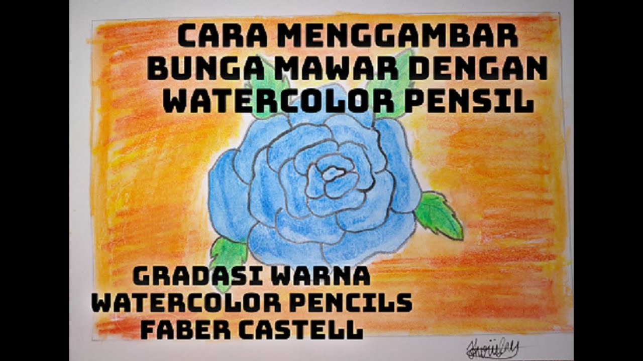Cara Menggambar Bunga Mawar Gradasi Warna Menggunakan Watercolor Pensil ...