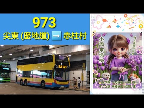 Hong Kong Bus CTB 41120 @ 973 城巴 Alexander Dennis Enviro500 MMC New ...