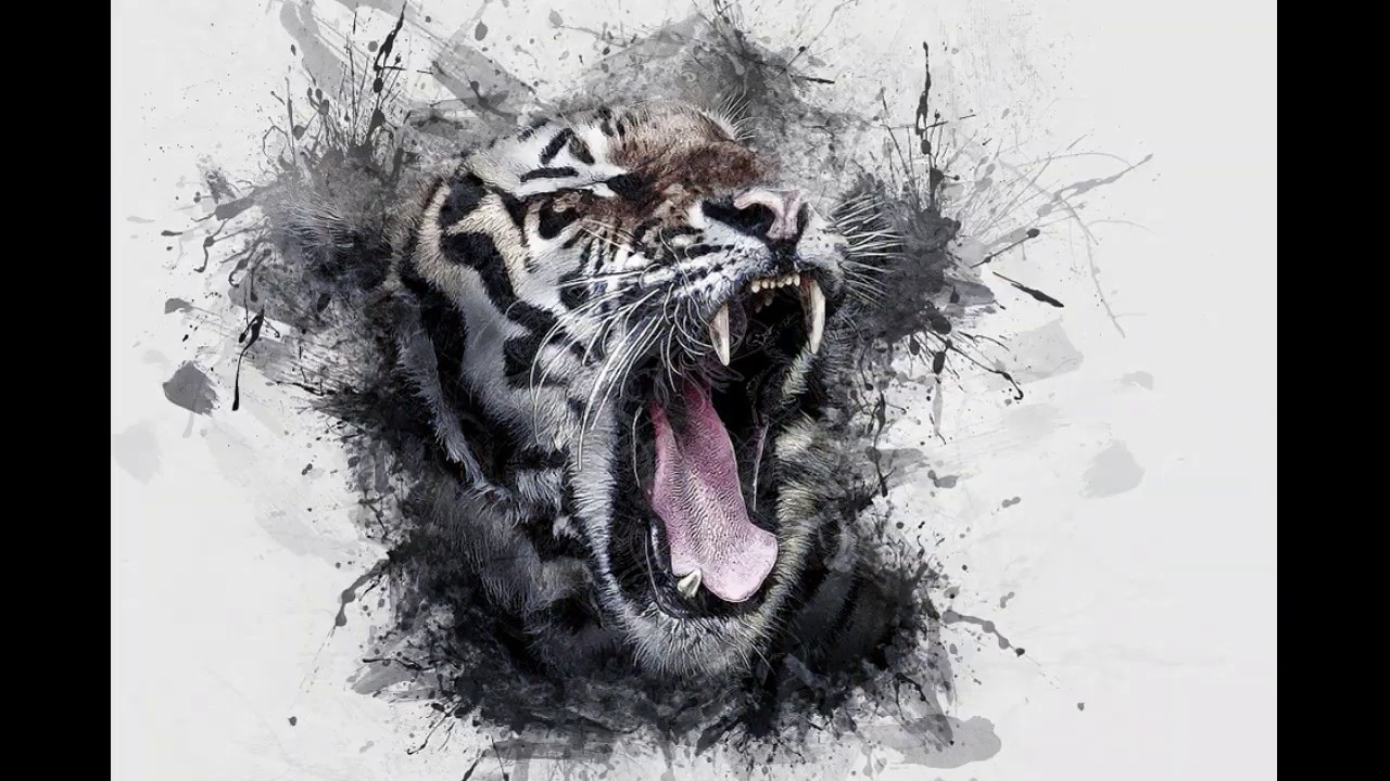 OSKAL TRAILER M+ EDITIONS - YouTube