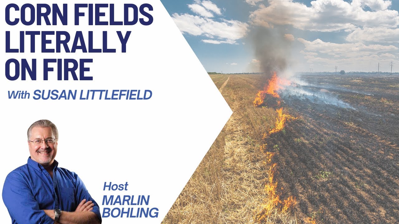 Corn Fields Literally On Fire With Susan Littlefield - YouTube
