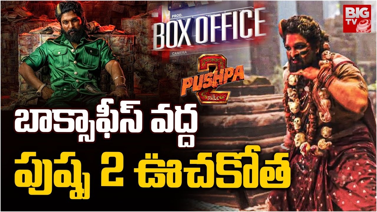 బాక్సాఫీస్ వద్ద పుష్ప 2 ఊచకోత | Pushpa 2 Boxoffice Collections | Pushpa ...