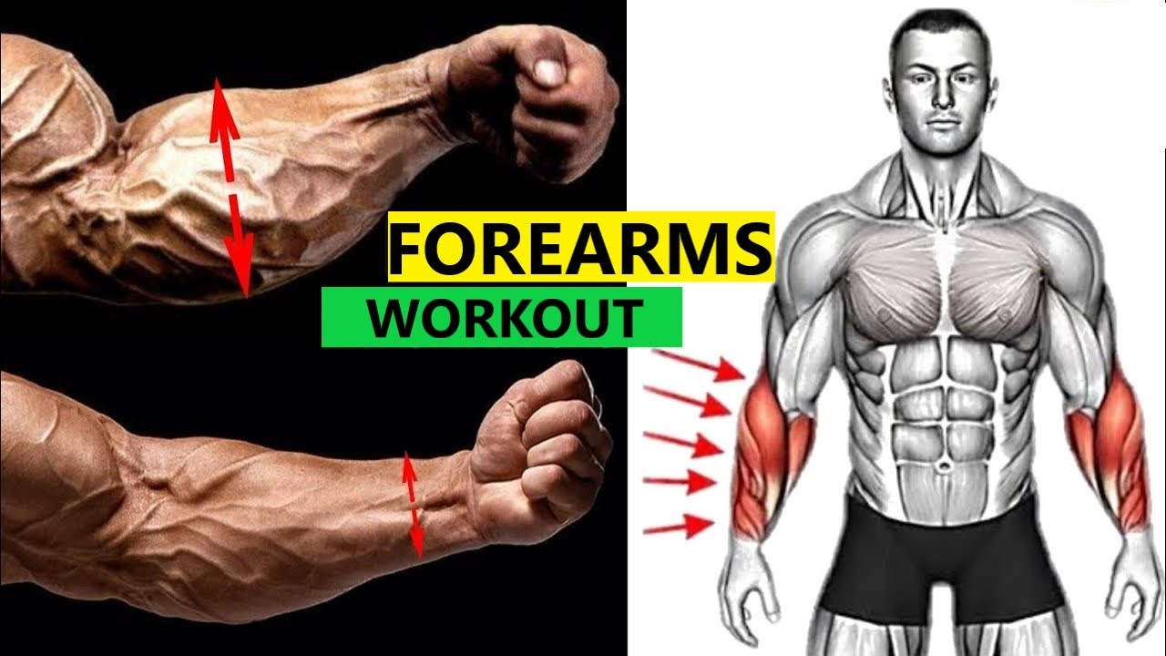 FOREARM WORKOUT | MUSCLE BUILDING WORKOUT - YouTube