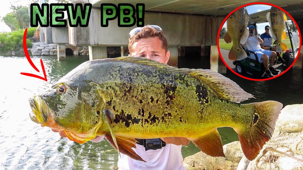 Fishing URBAN Golf Course for Tropical Fish! *Insane* - YouTube