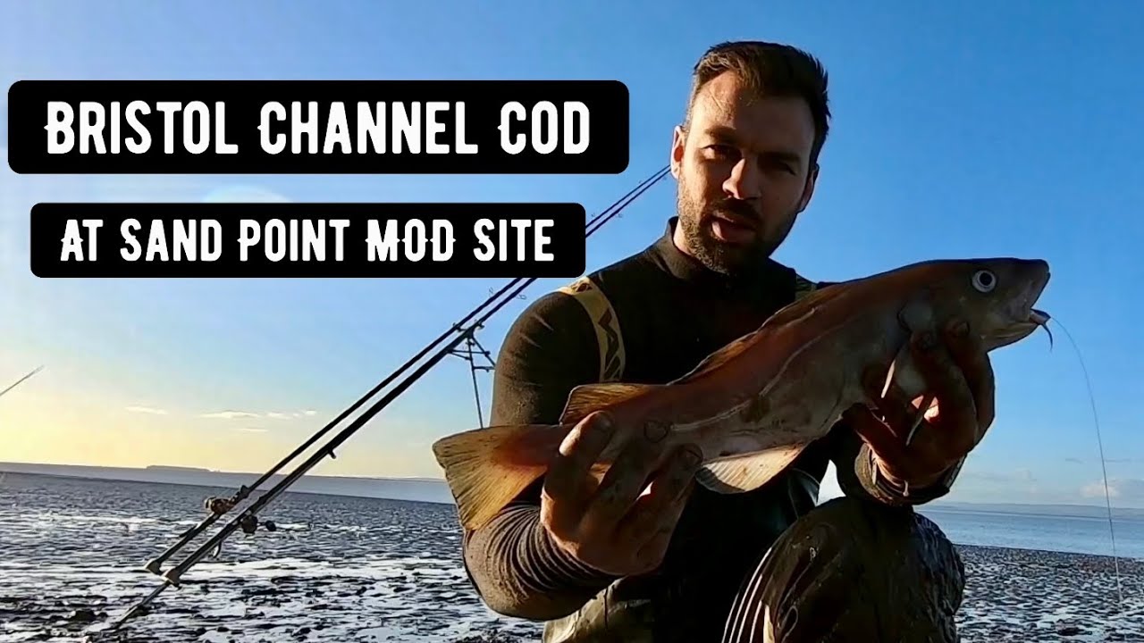 Cod Fishing at the MOD Bristol Chanel - YouTube