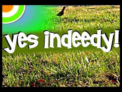 YES INDEEDY from AMERICA'S ONLINE IRISH STATION - RADIO IRISH - YouTube