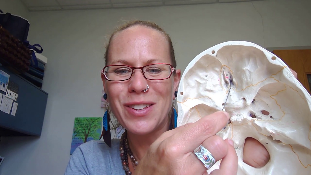 Skull Quiz Question - YouTube