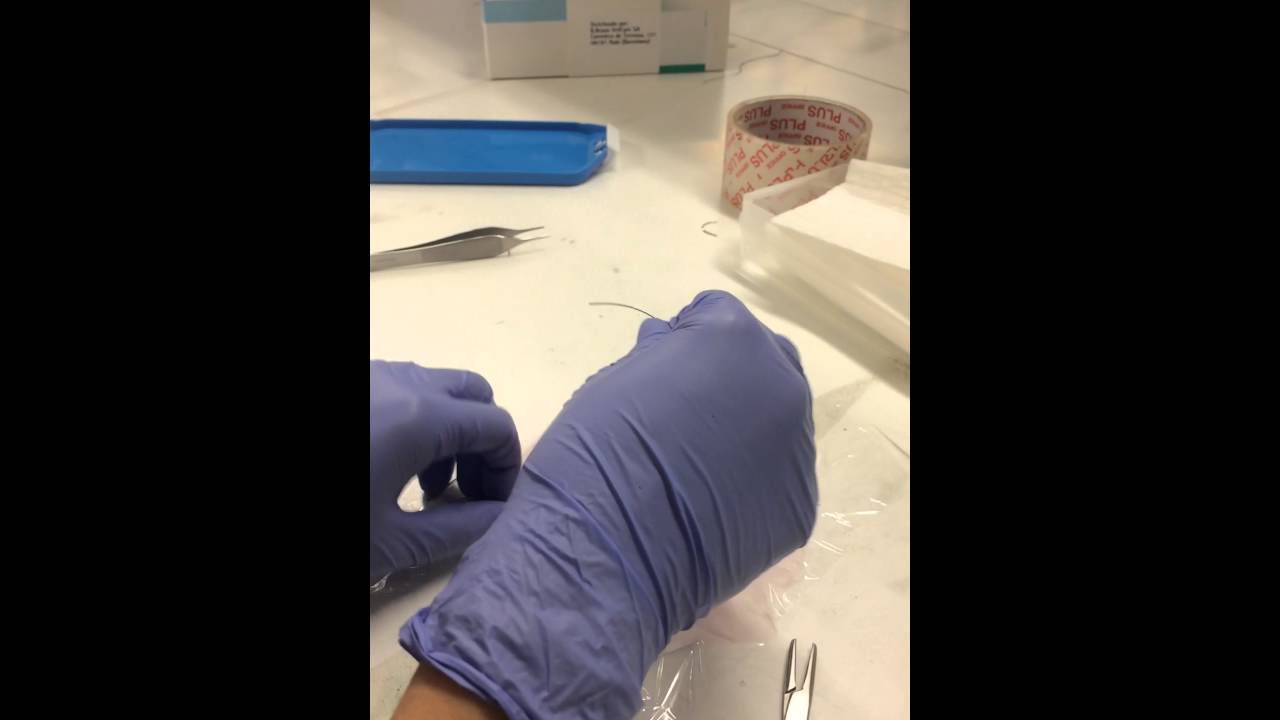 Suturing blood vessels - YouTube