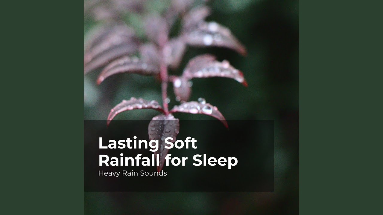 Copious Rain Skyfall - YouTube