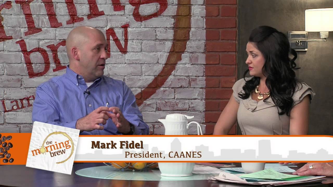 Mark Fidel, the President of CAANES, talks online password safety - YouTube