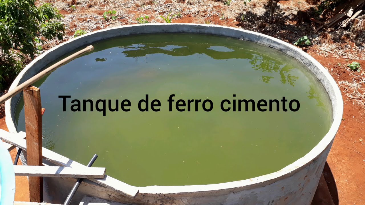 Tanque de ferro cimento para peixes - YouTube