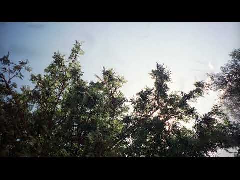 TRMA - Past/Gone